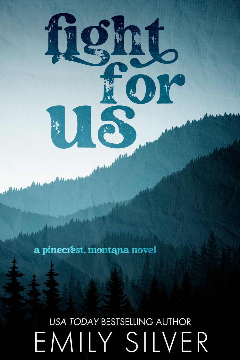 Emily Silver: Fight For Us | PRE-ORDER WITH SWAG – Shelf Love DSM